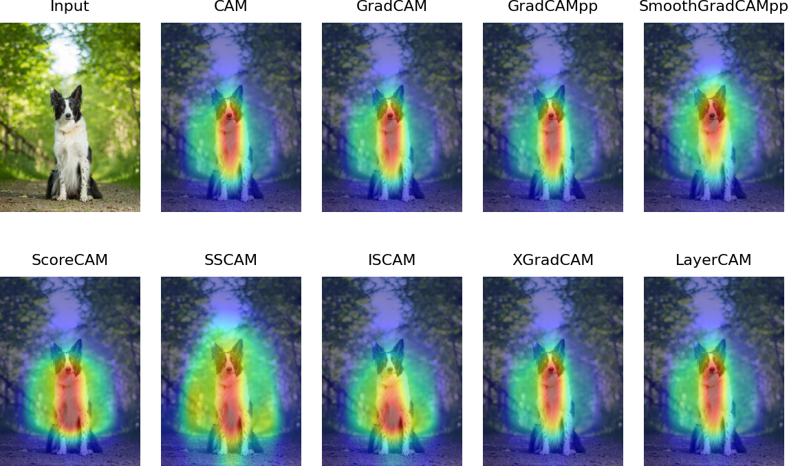 TorchCAM: 解锁PyTorch模型的类激活可视化 - 懂AI