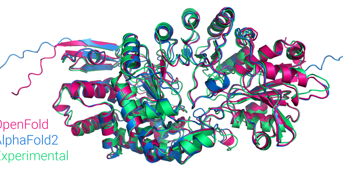 OpenFold: 革新蛋白质结构预测的开源项目 - 懂AI