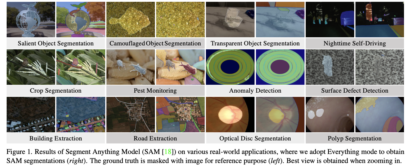 awesome-segment-anything - Segment Anything项目研究进展 - 懂AI