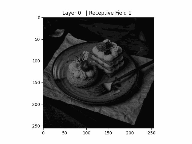 PyTorch感受野计算工具:pytorch-receptive-field - 懂AI