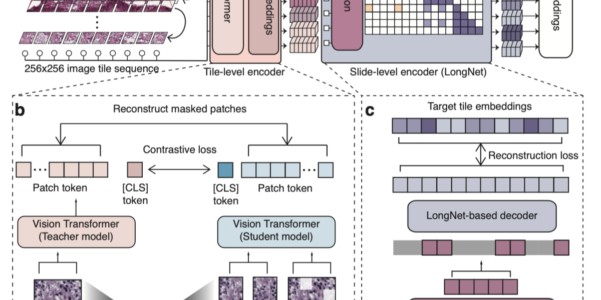 Prov-GigaPath: 突破性全幻灯片基础模型推动数字病理学发展 - 懂AI