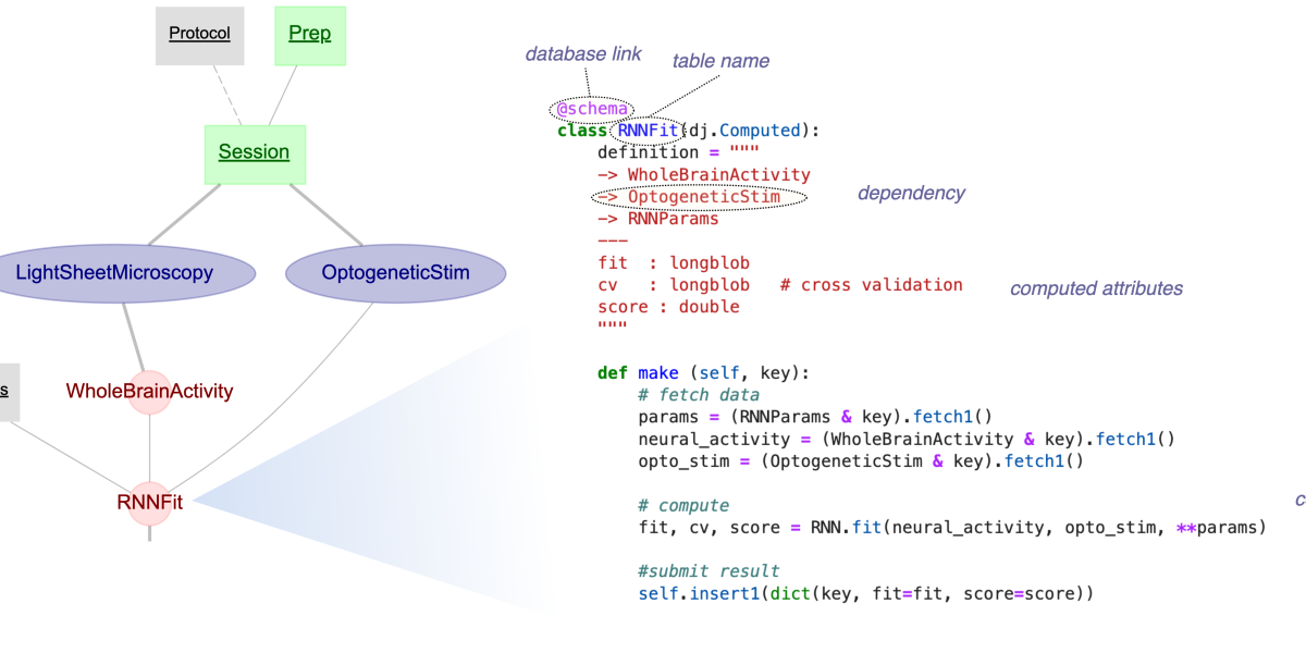 DataJoint Python: 科研实验室的关系型数据管道框架 - 懂AI
