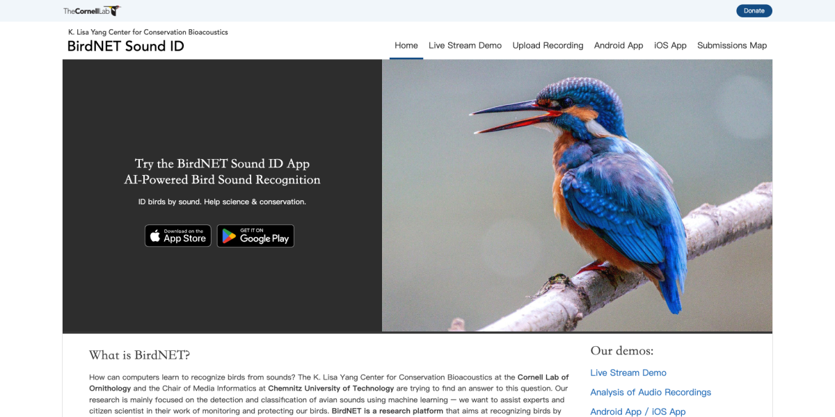 BirdNET-Analyzer: 先进的鸟类声音识别工具 - 懂AI